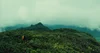 ALOHA PU‘U KUKUI
