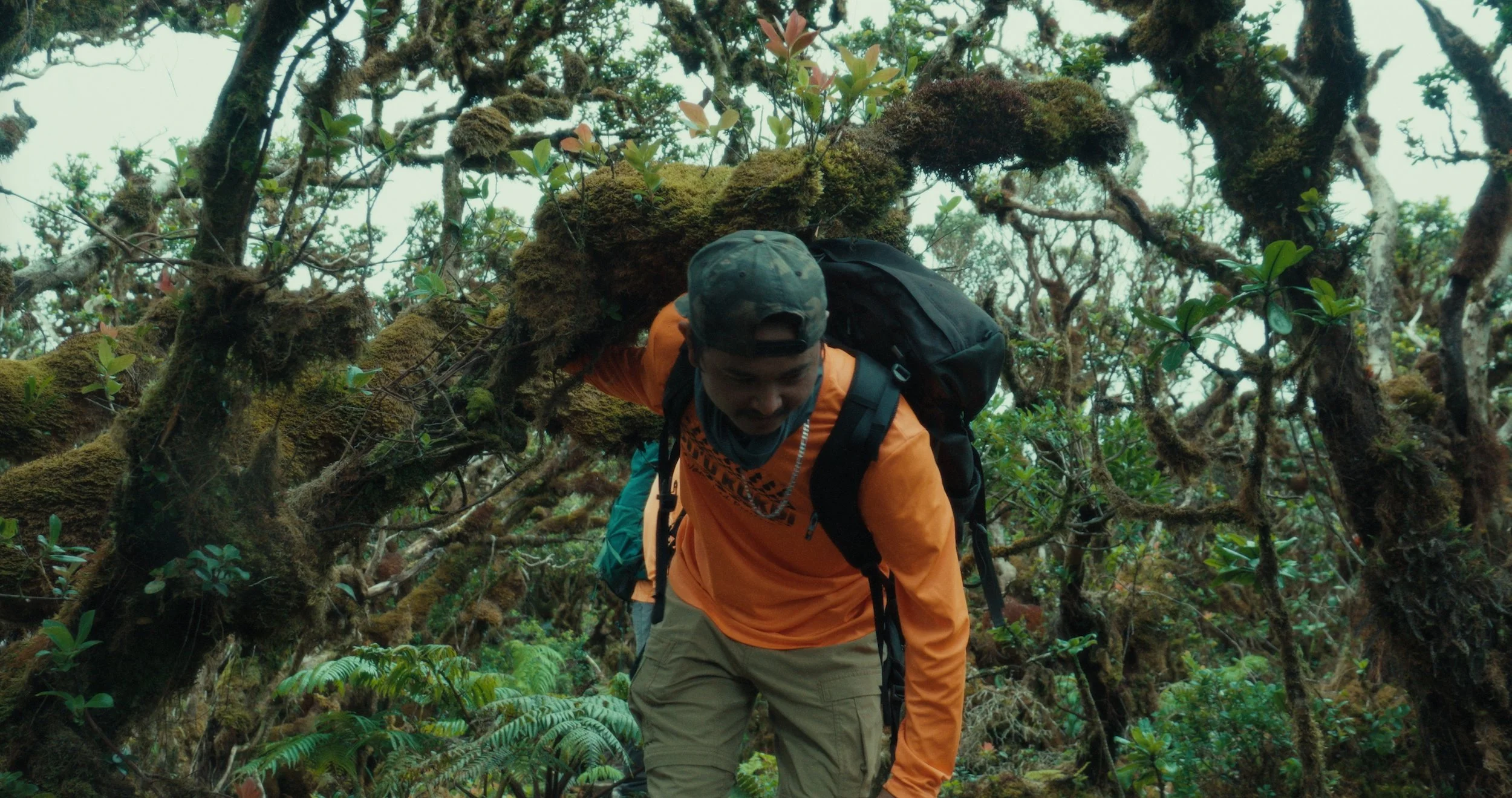 VOLUNTEER | Get Involved - Make an Impact — ALOHA PU‘U KUKUI