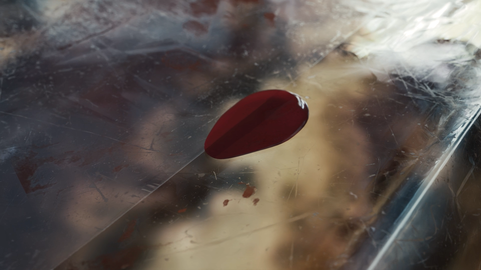 Cold Case Forensic - Series One — BAIT STUDIO