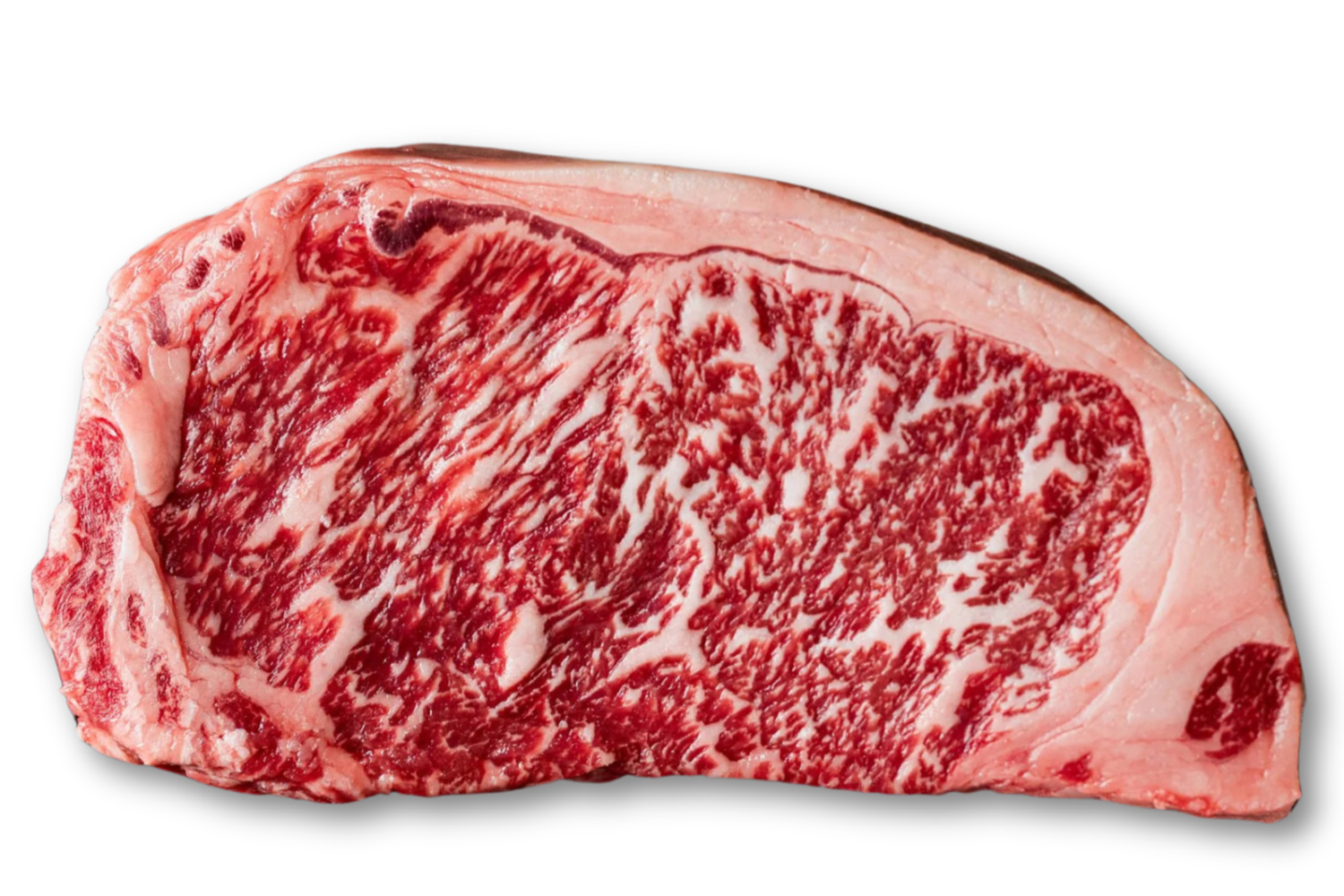 Products — Black Hawk Farms | American Wagyu Beef