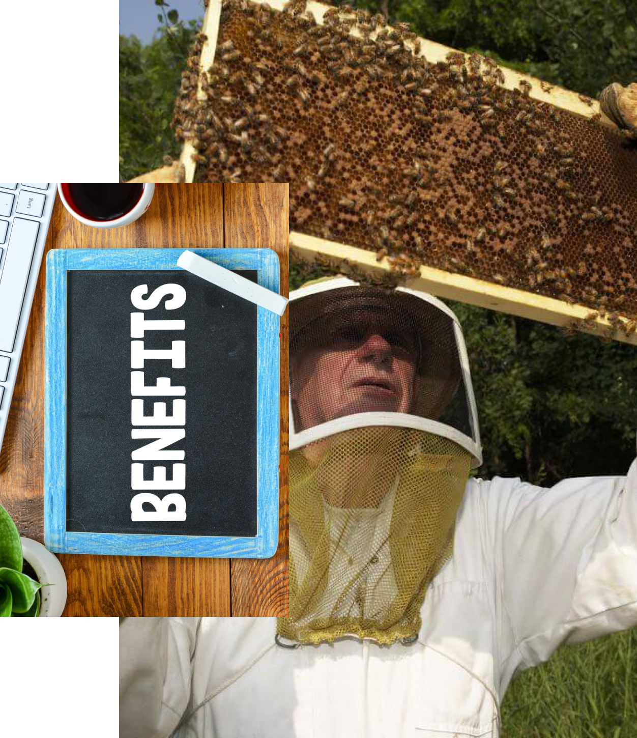Join the Team — US National Honeybee Emergency Response Team