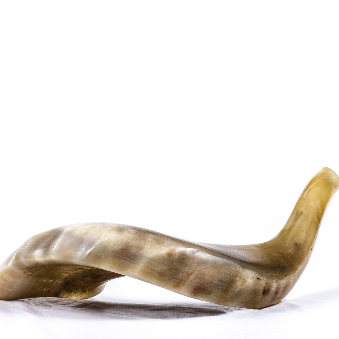 Shofar Blowing Class — Temple Emanu-El of Westfield, NJ