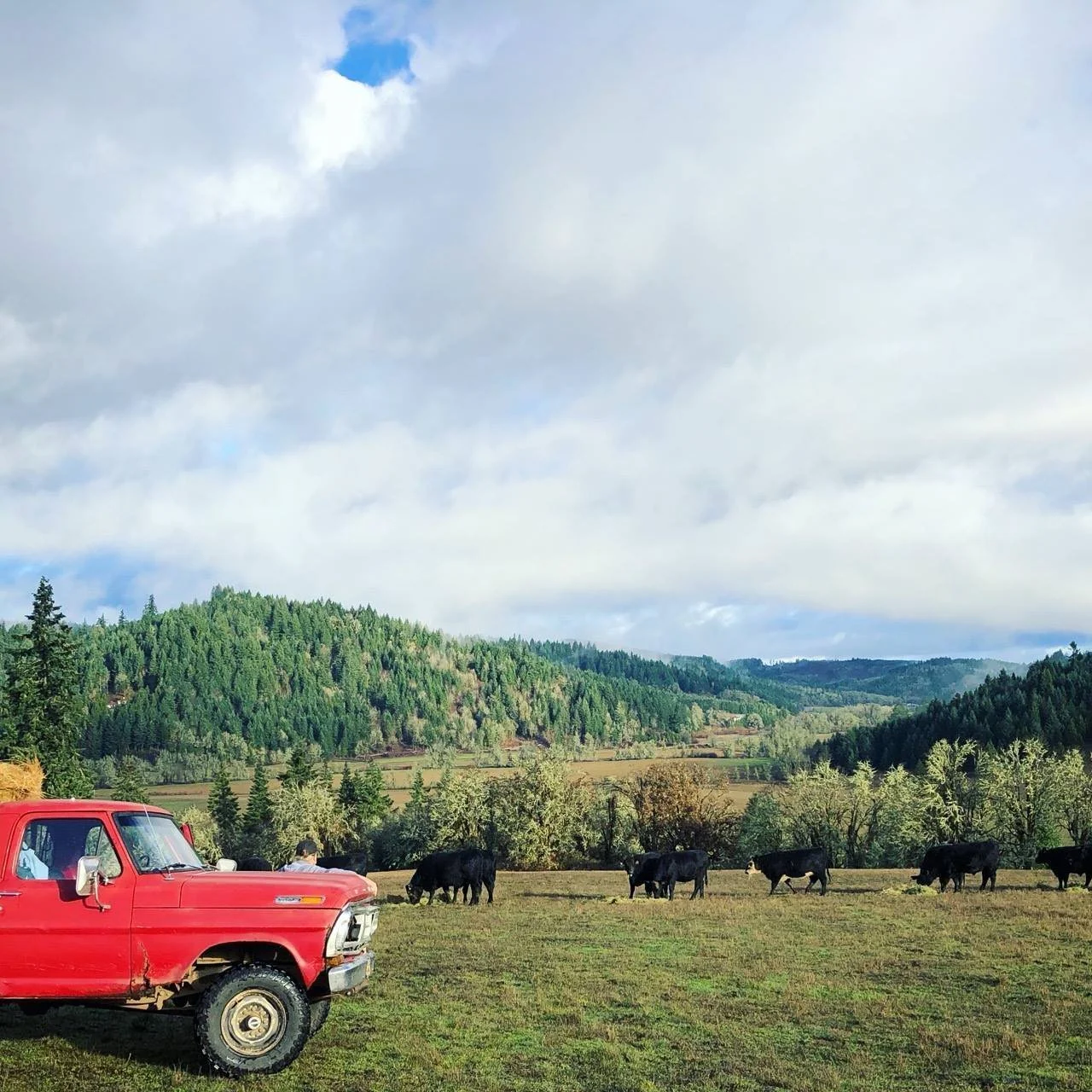 General 2 — Coos Head Food Co-op