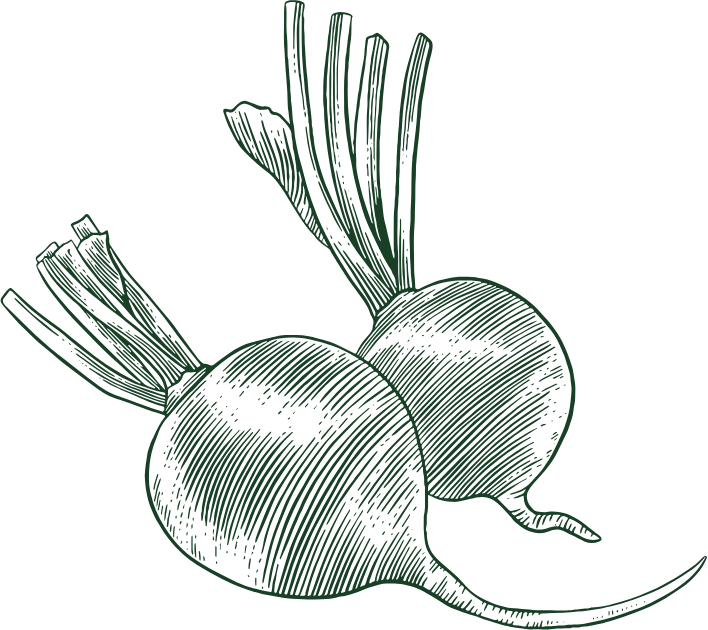 Coos Head Food Co-op