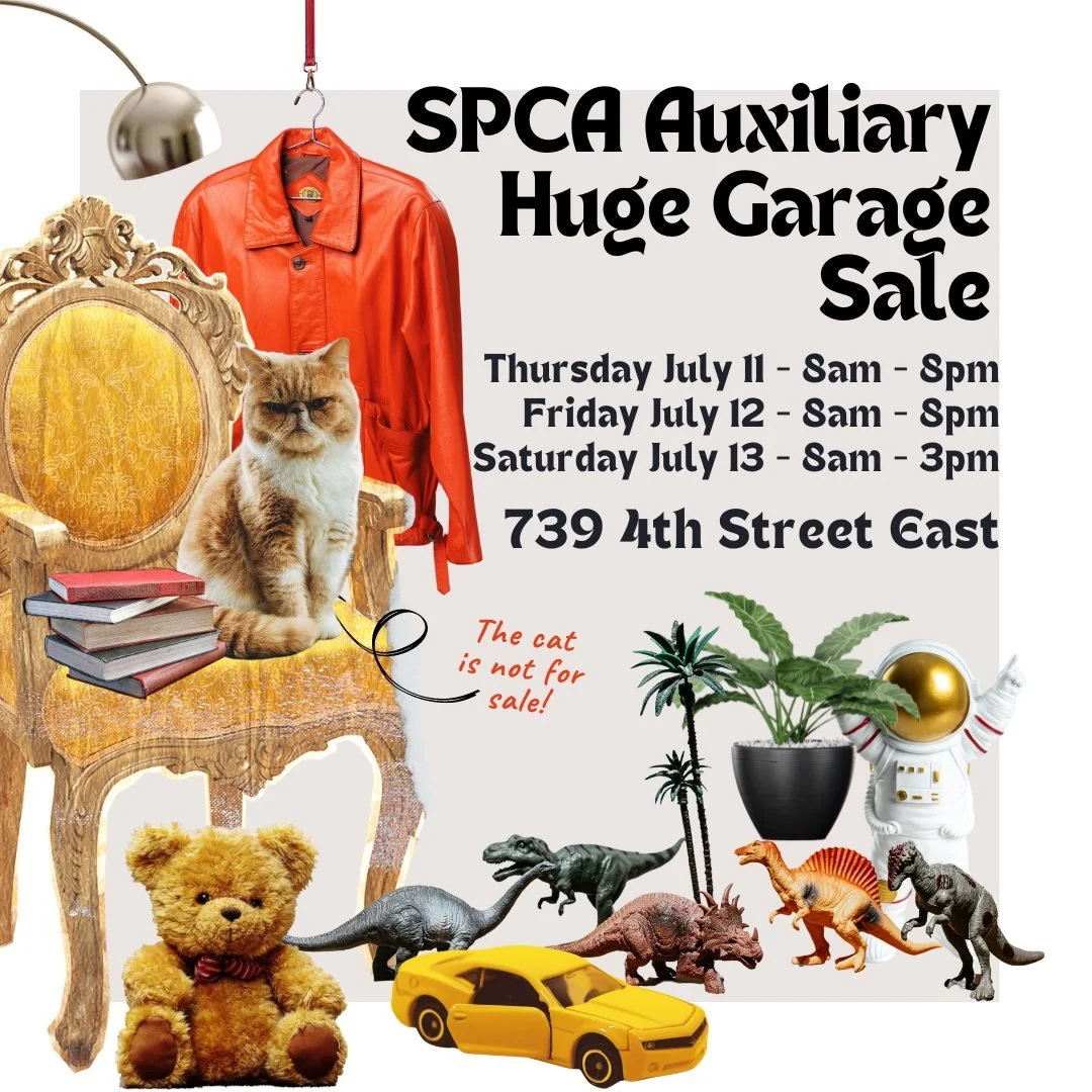 Saskatoon SPCA | Animal Shelter and Adoption Services in Saskatoon