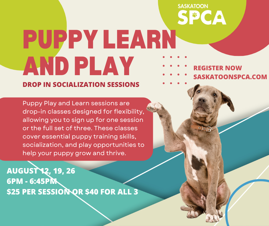 Saskatoon SPCA | Animal Shelter and Adoption Services in Saskatoon
