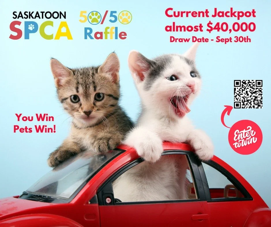 Saskatoon SPCA | Animal Shelter and Adoption Services in Saskatoon