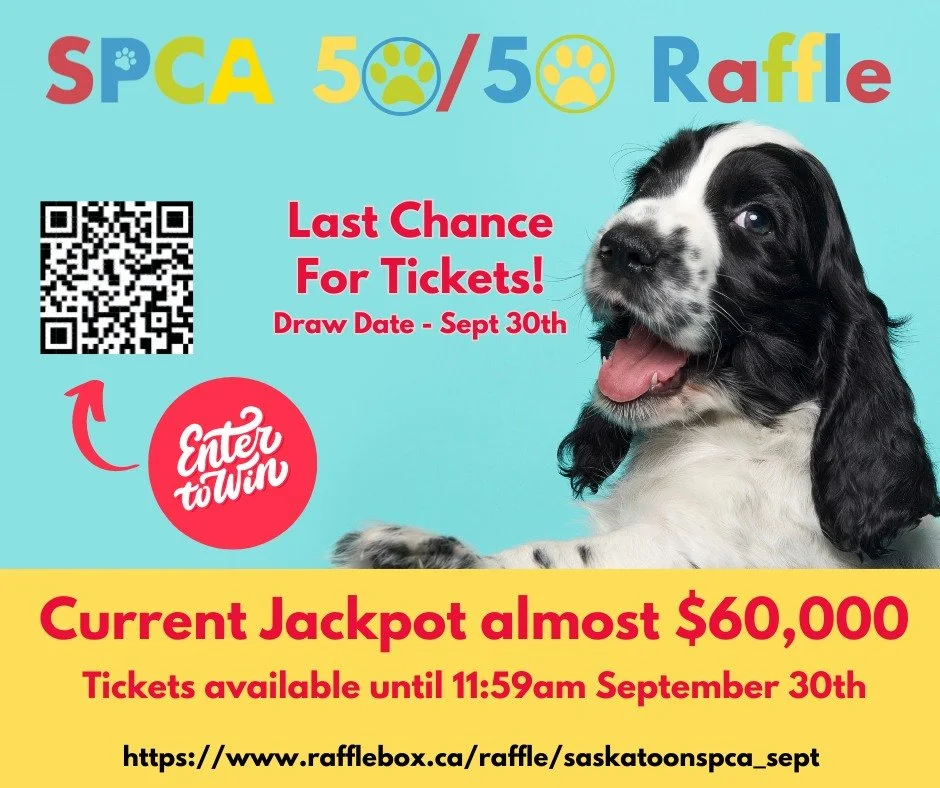 Saskatoon SPCA | Animal Shelter and Adoption Services in Saskatoon