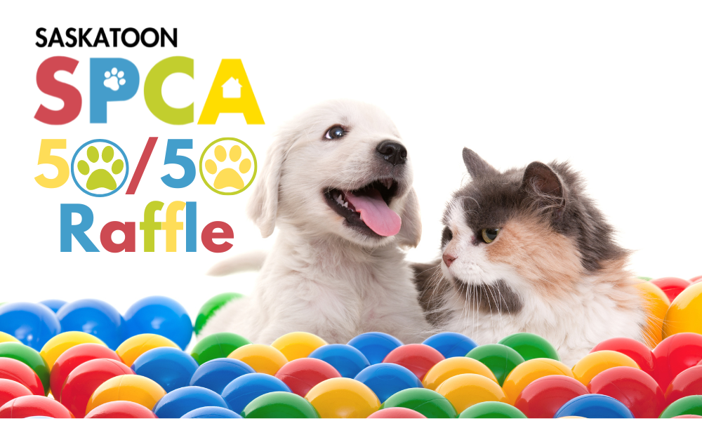 Saskatoon SPCA 50/50 Lottery: Win Big and Help Animals in Need ...