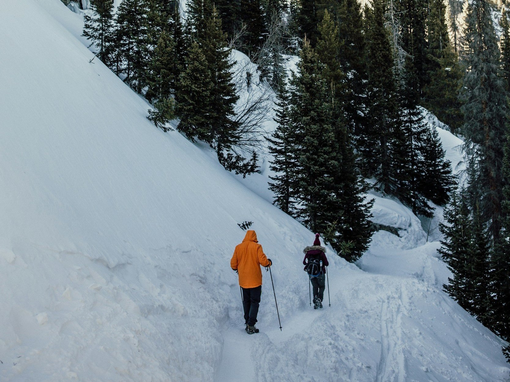 Snowshoe Race Schedule | World Snowshoe Federation