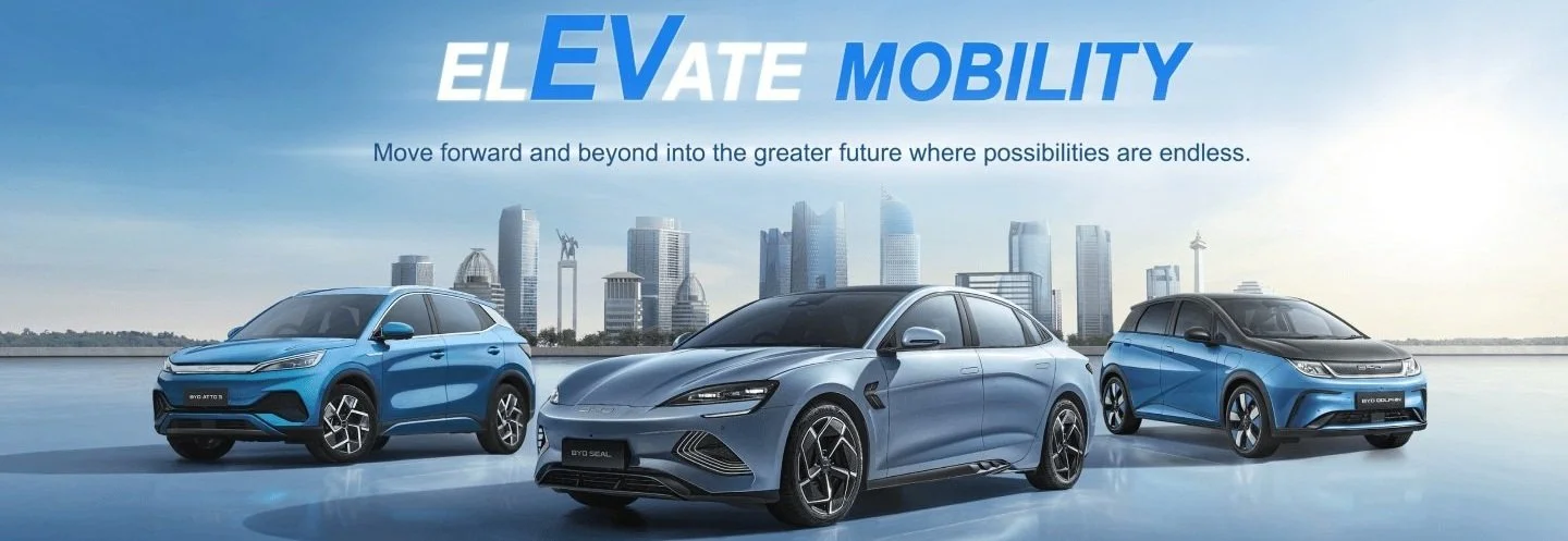 BYD BIPO