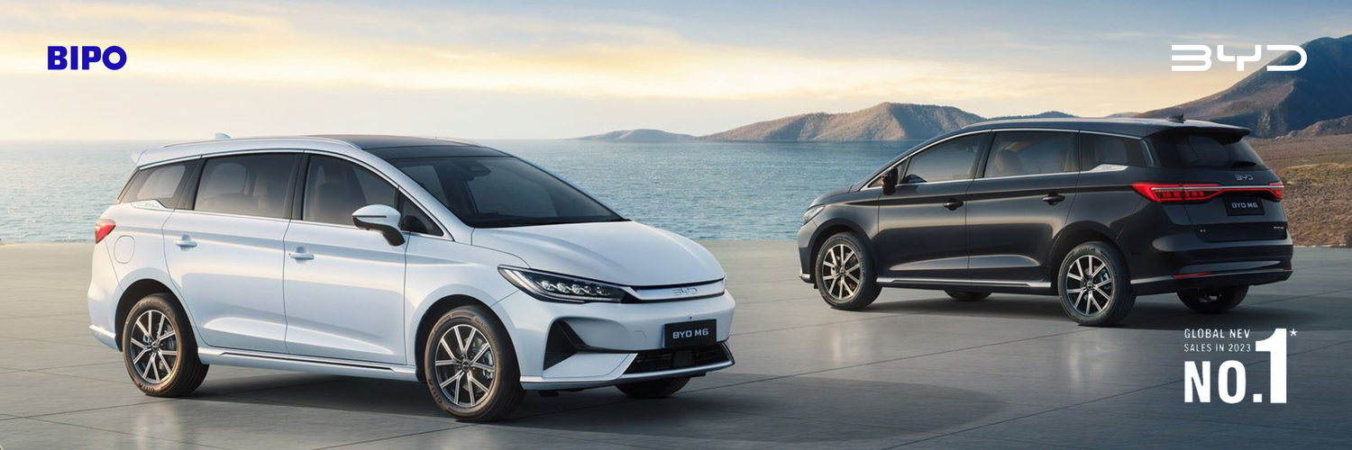BYD BIPO