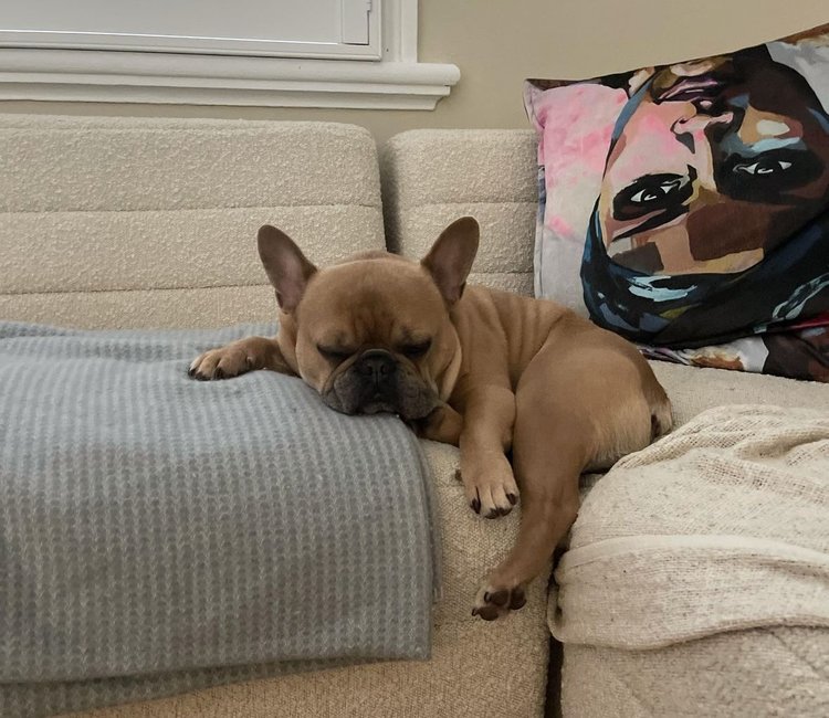 About — Dr Mark Cross