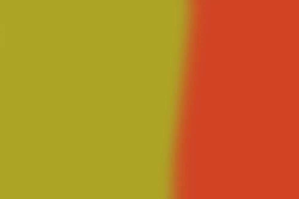 Sunny — Australasian Fresh