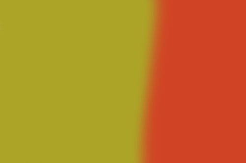 Sunny — Australasian Fresh