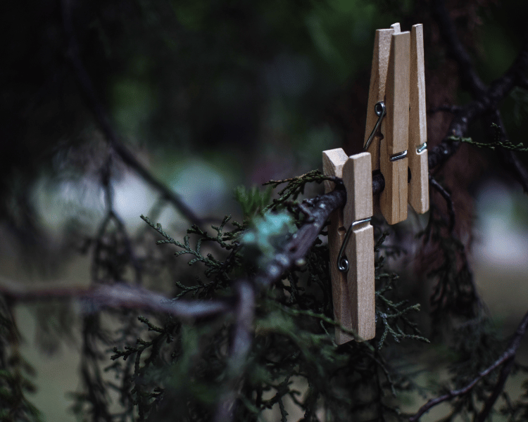 Talon Textile Fasteners