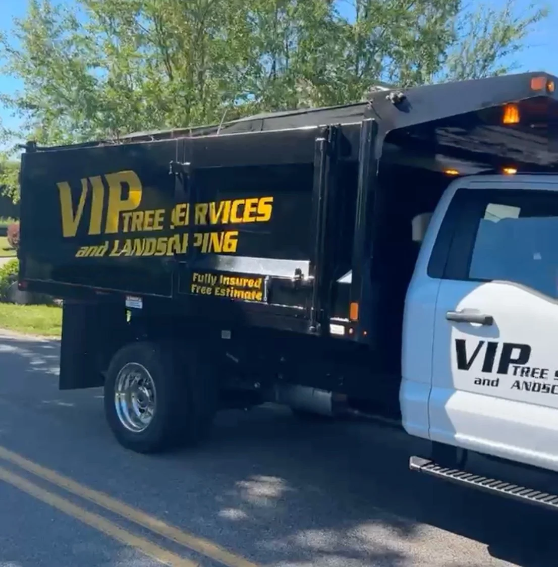 VIP Tree Services & Landscaping | Cape Cod