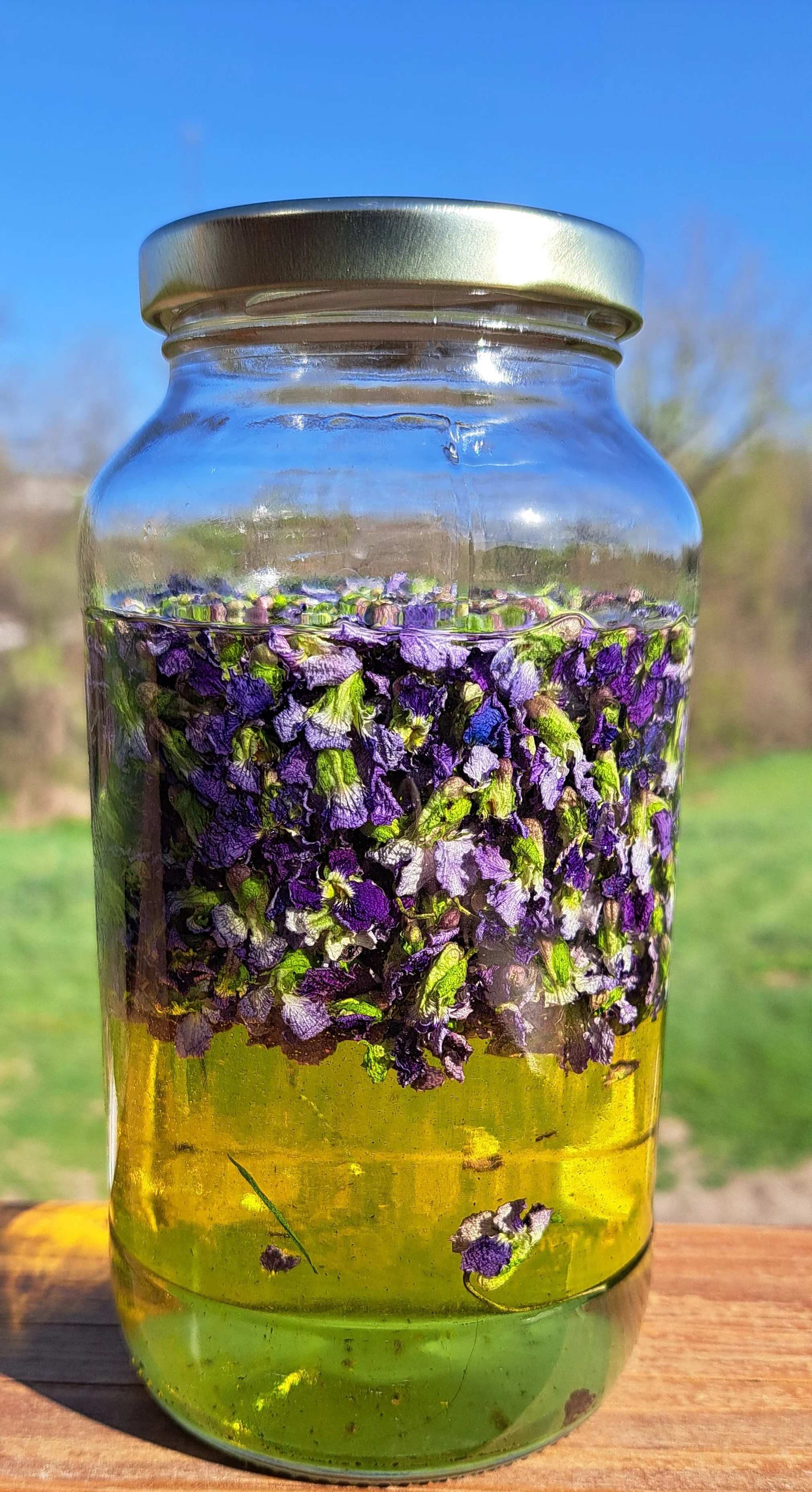 Uses & Benefits of Wild Violets — Rustic Roots & Simple Living