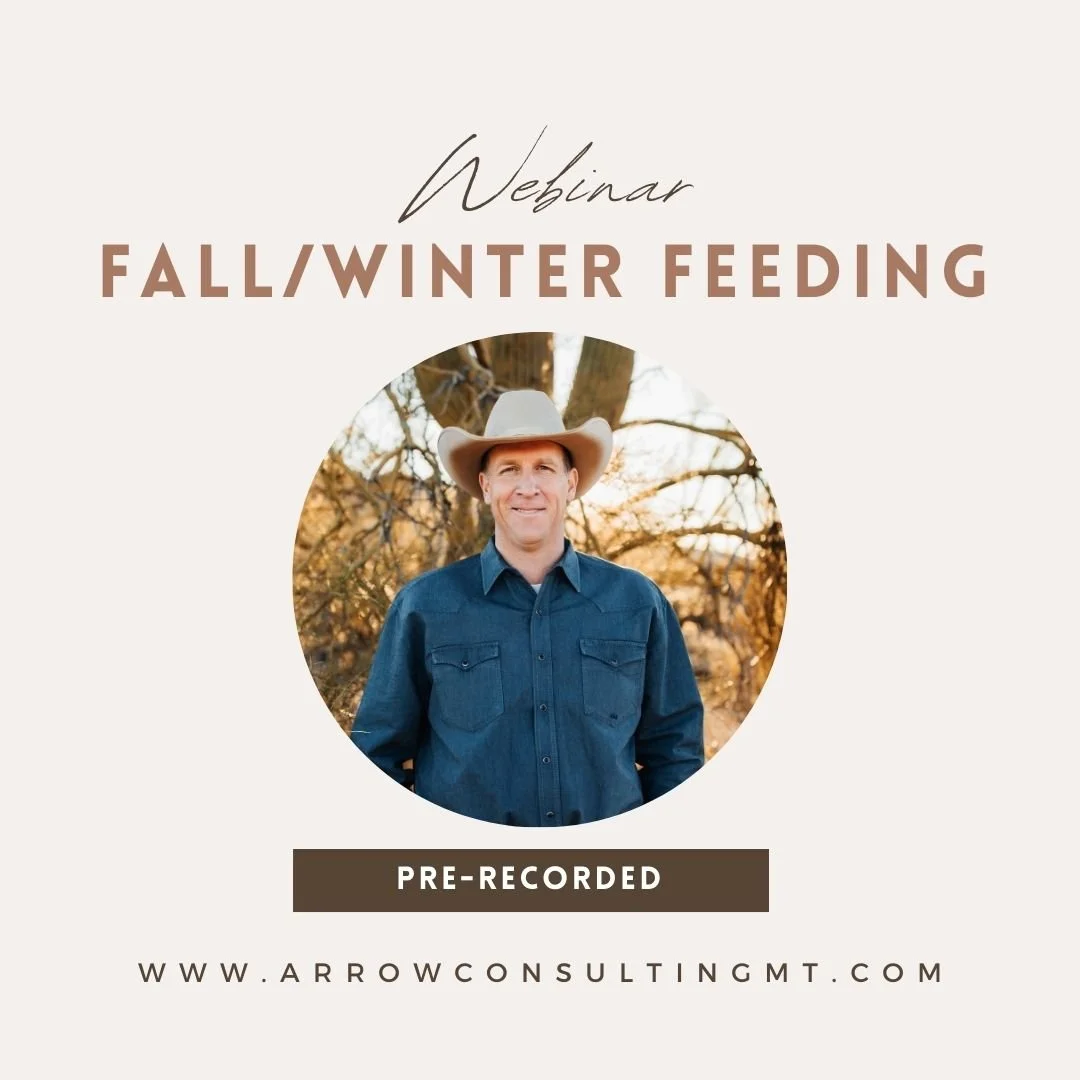 Livestock Feeding PRERECORDED Webinar — Arrow Consulting