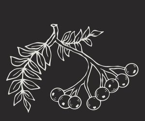 About — Rowan Kitchens