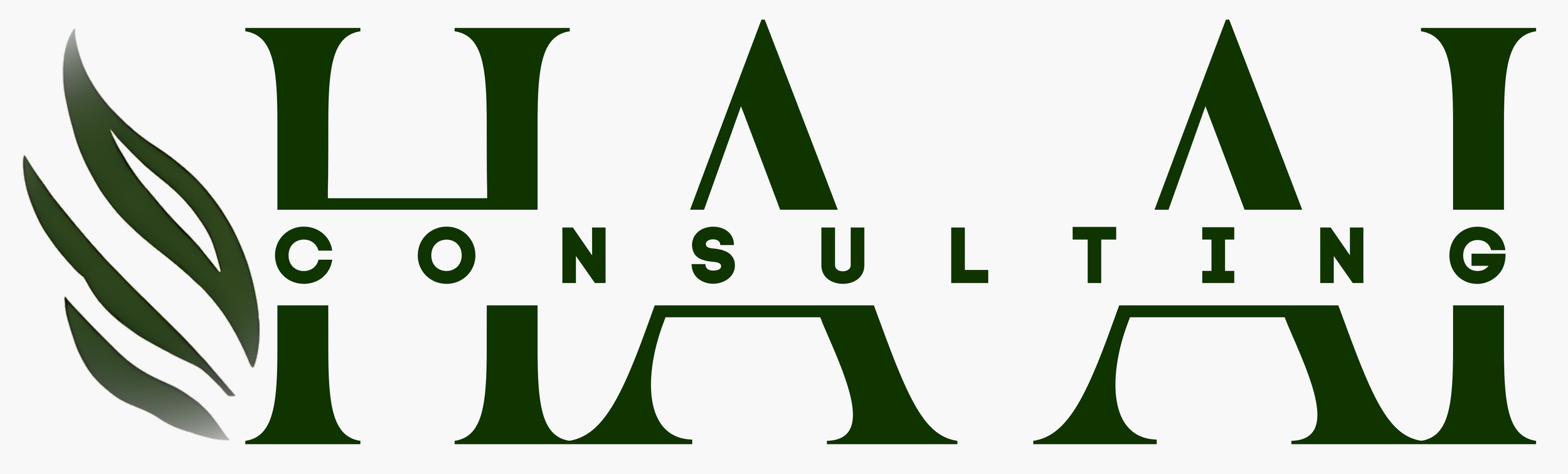 AI Explained: Common AI Questions Answered — HA AI Consulting Germany