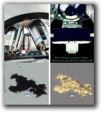 Store 2 — Microlab Northwest