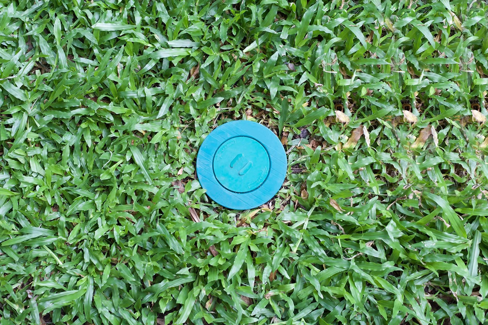 Termite Baiting Systems — Pestlinc