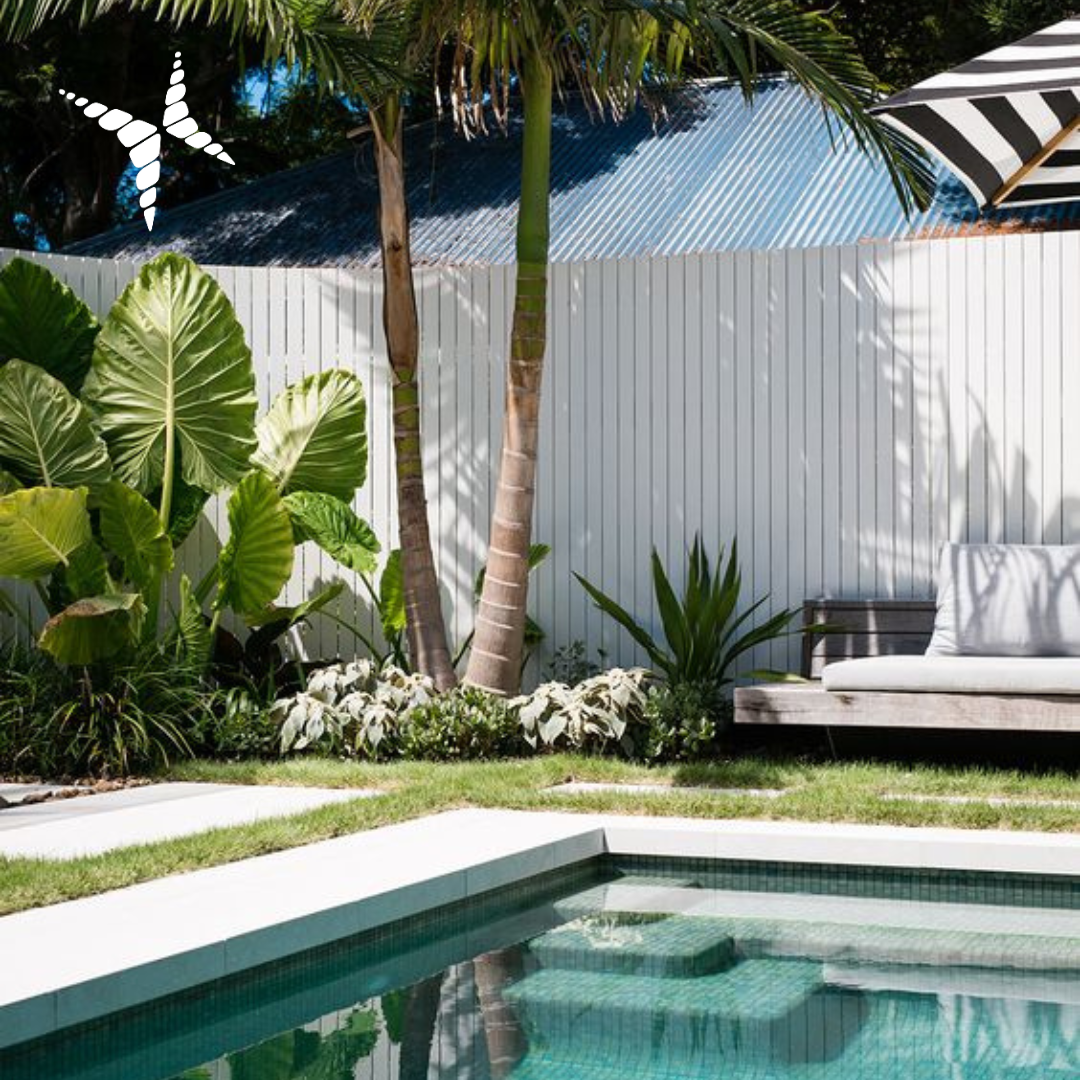 Swallowtail Projects