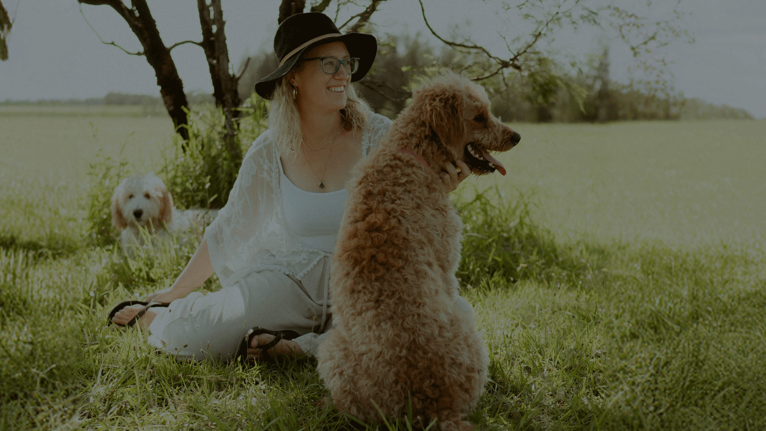 Ethical Groodle Breeder in Illawarra | Healthy, Happy Groodle Puppies