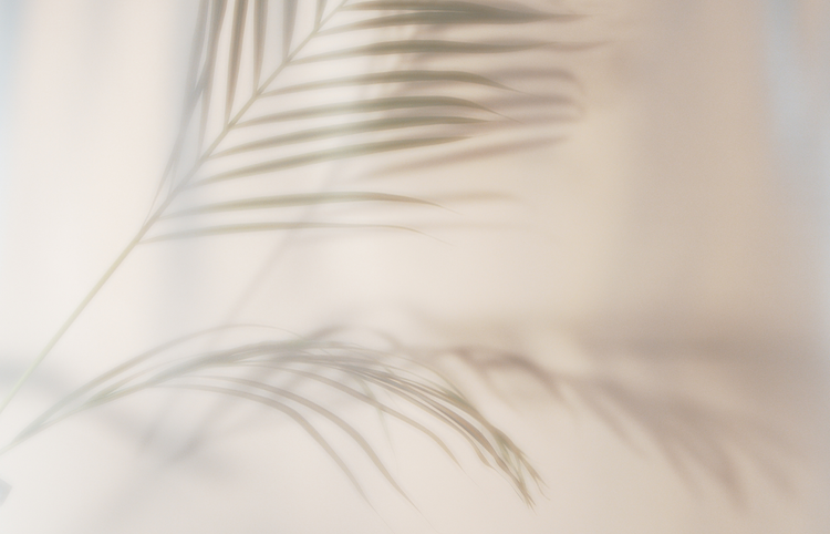 Feeling 22 Aesthetics | Lancaster Med Spa | Botox, Filler