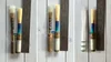 Plastic Synthetic Oboe Reed Review Legere Silverstein [2025]