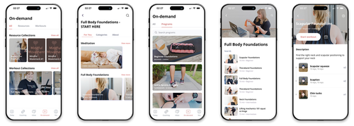 Pocket PT Membership — Empowered Movement PT | The Hypermobile DPT