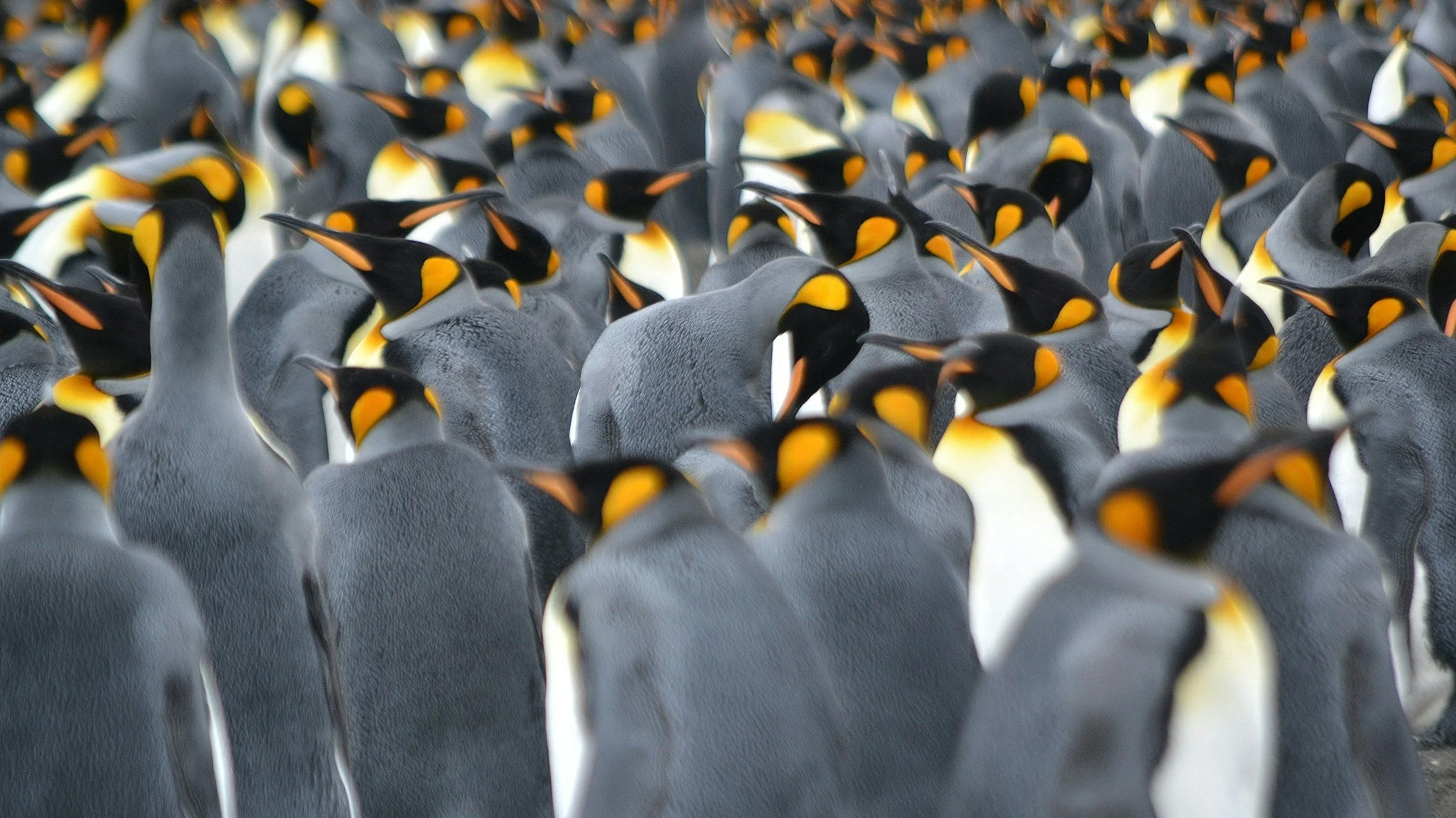 Resilience Hub Collaborative