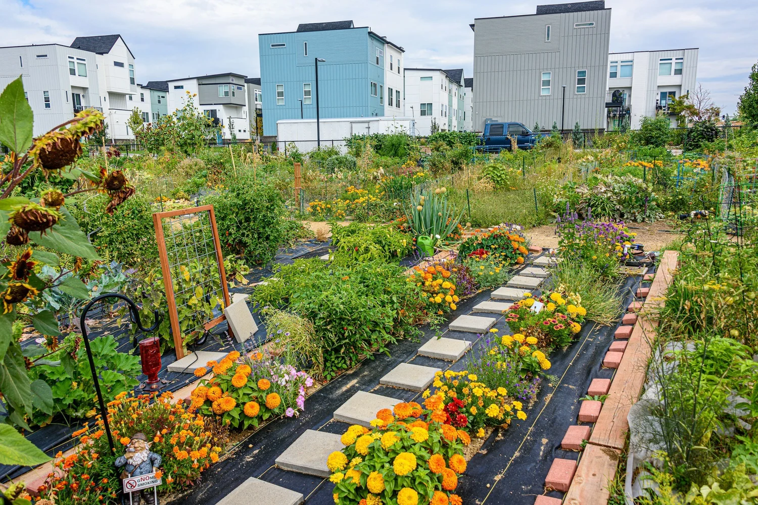 Resources — Resilience Hub Collaborative
