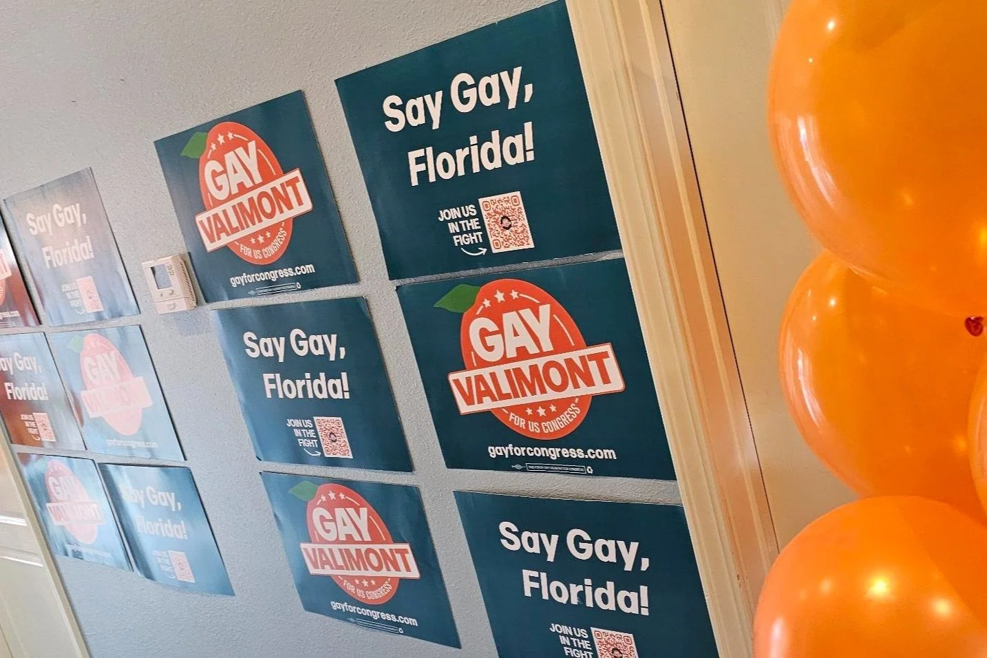 Contact Us — Gay Valimont for Congress