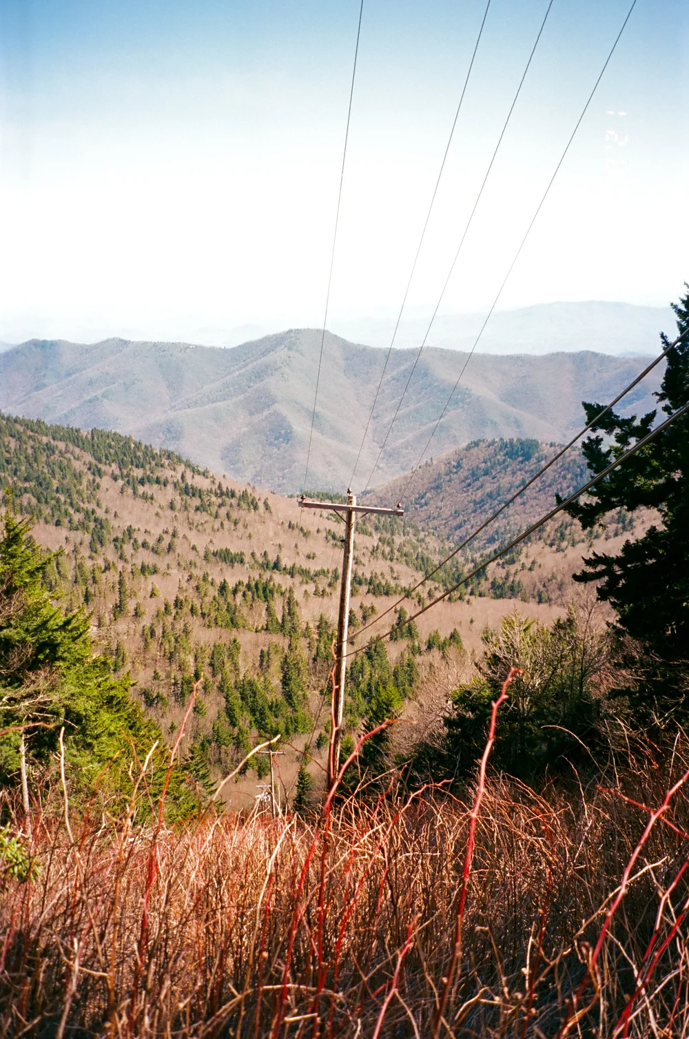 Nature — Peter Andresen