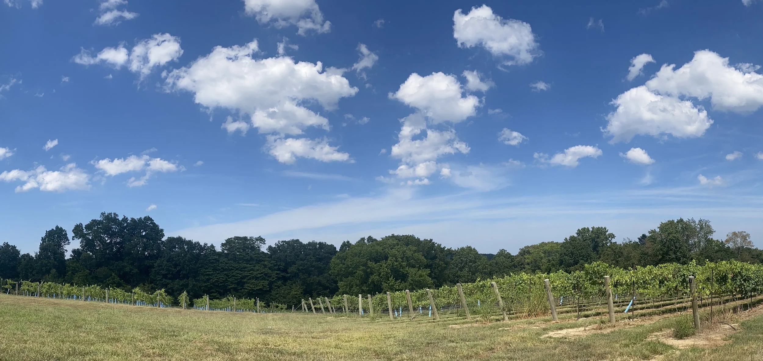 Chateau Sainte Genevieve