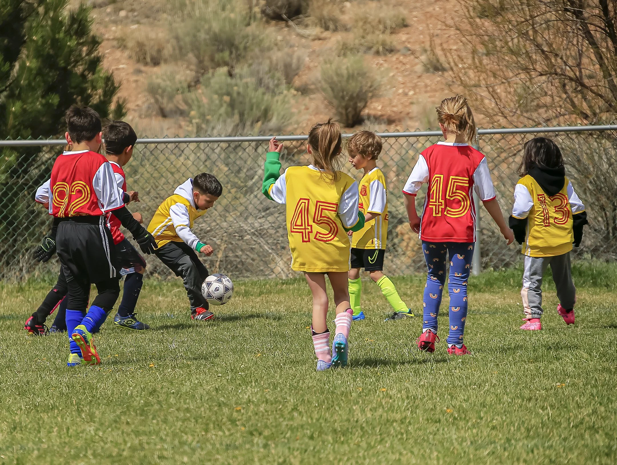 Programs — NORTHERN SOCCER CLUB