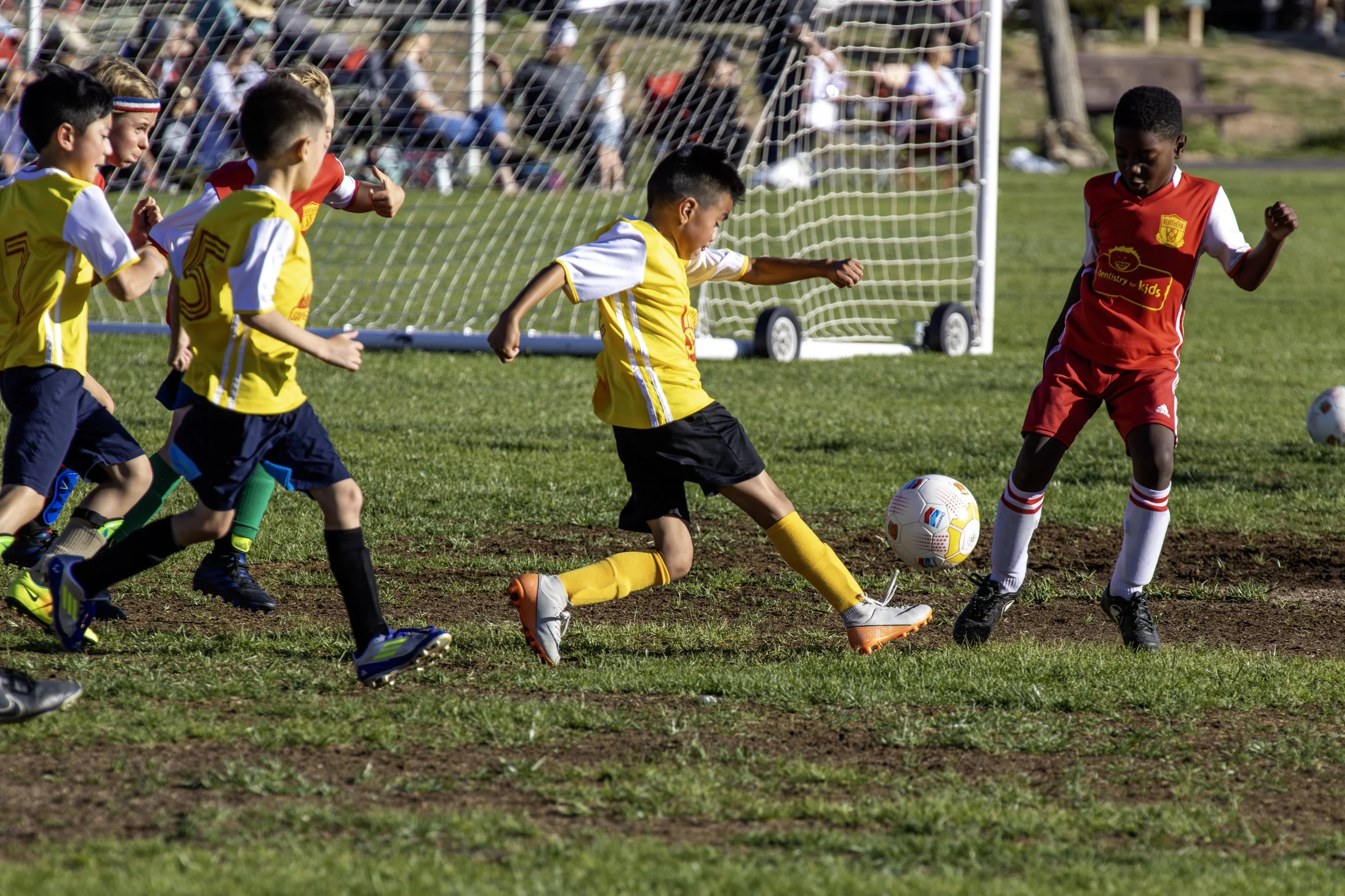 NORTHERN SOCCER CLUB