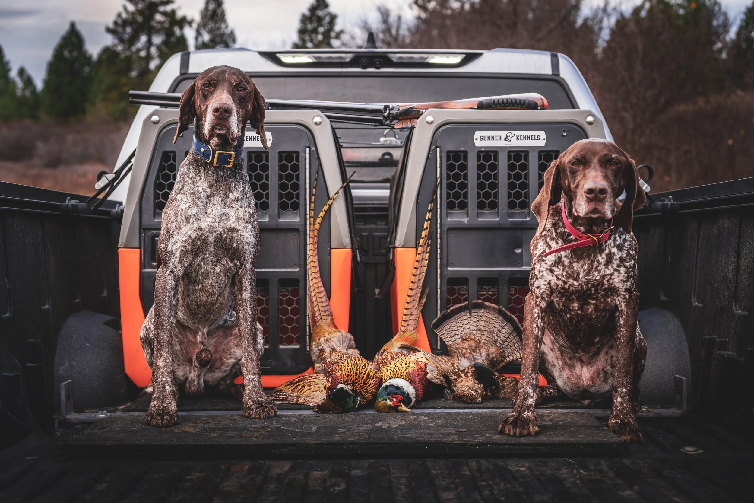 Gunner Kennels 300,000-Mile Review — Hunt.Vet