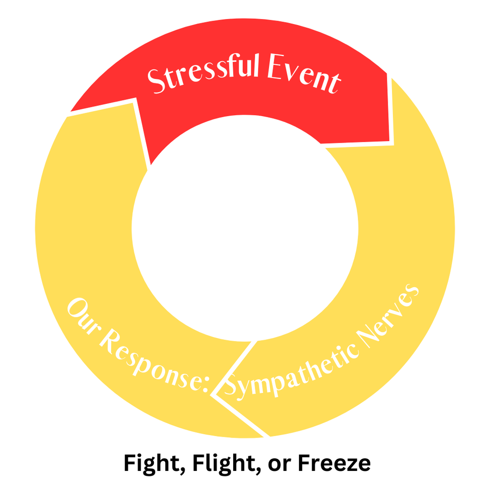 A Practical Guide to Stress and Stress Mangement — Jessica Maes