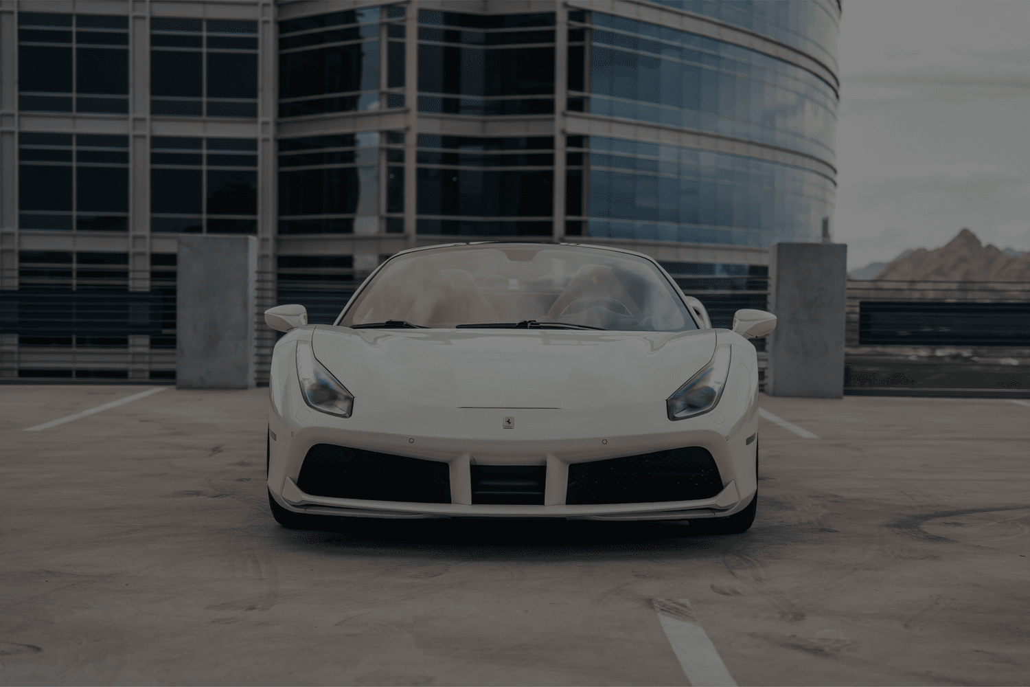 Car Rental Business in Phoenix, Arizona