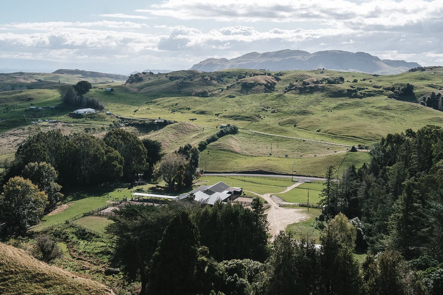 Farm Tours and Hosting in New Zealand. Small Groups and personable ...