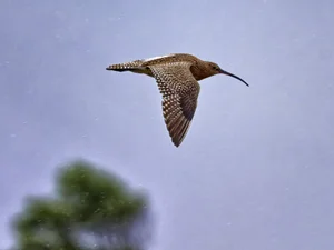 Andrew Atkins Photography