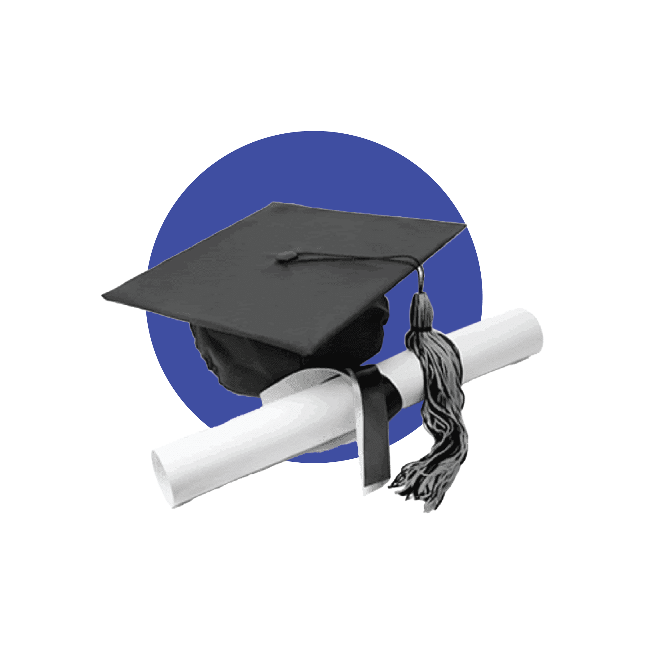 Enhance Academic Success with ReWiser's Expert Test Prep