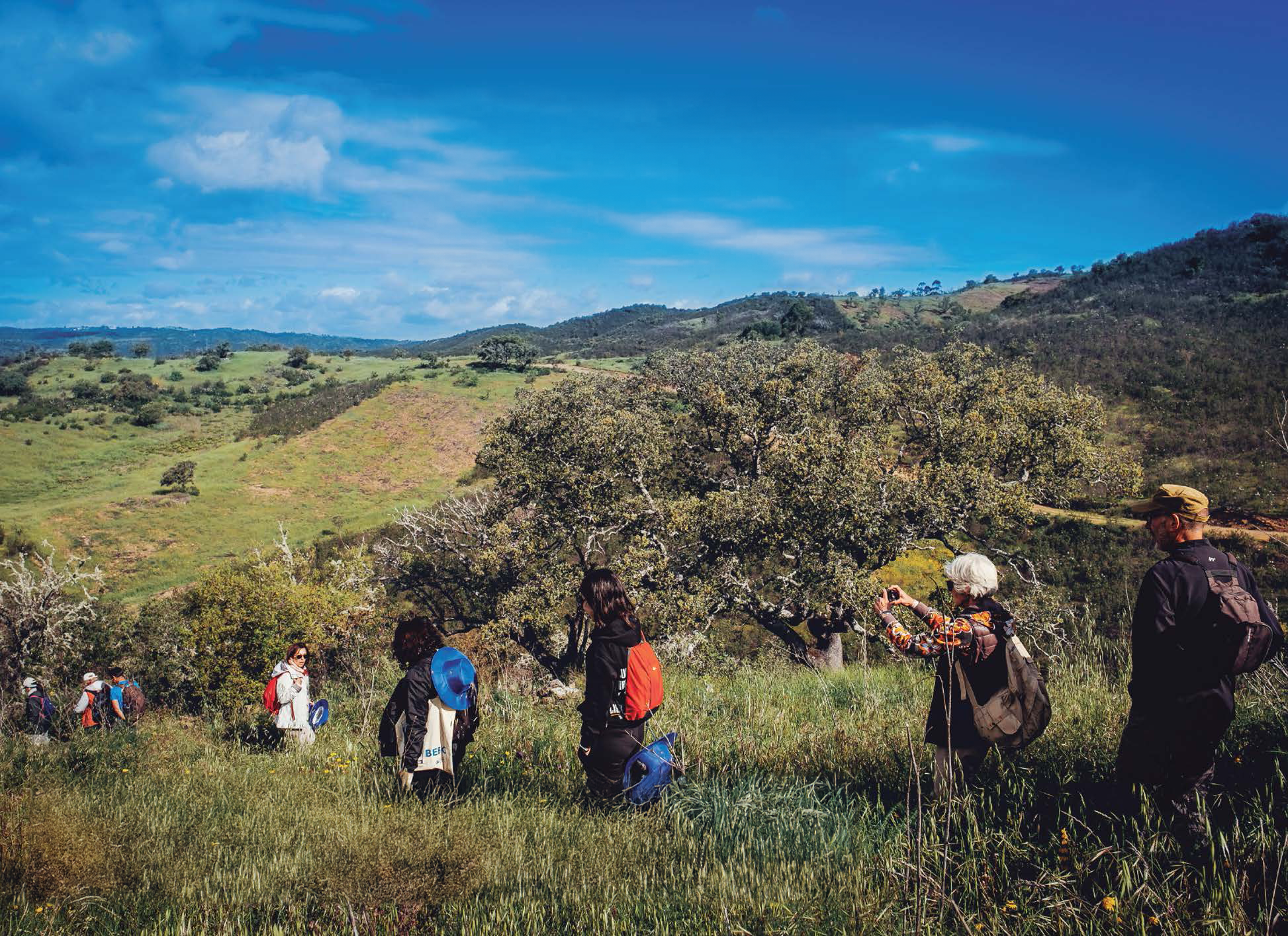 Walking Festivals in Algarve — Algarve Walking Season