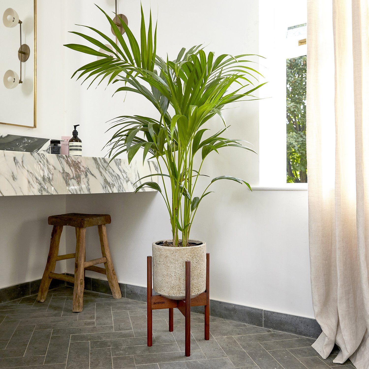 Patch Plants — Watersign Studio