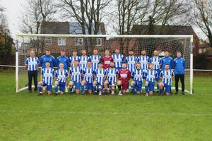 Skylark Fostering Nettleham FC Sponsorship — Skylark Fostering | Lincoln