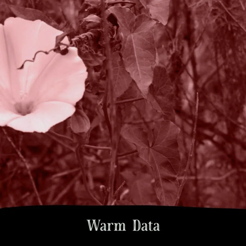 Warmdata.life