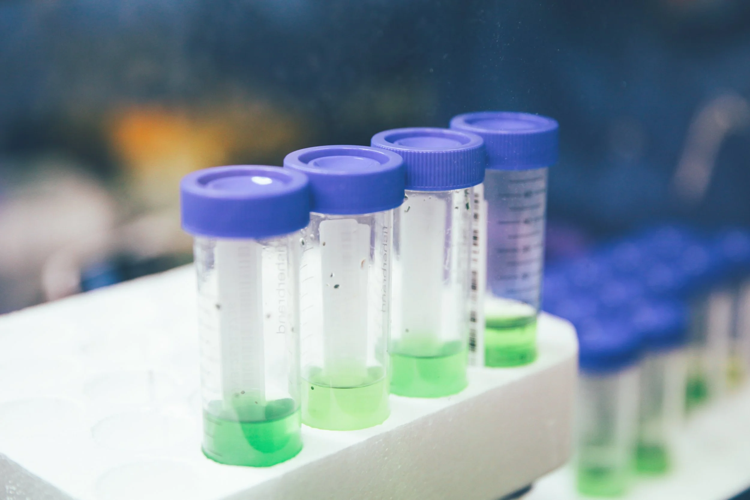 Expedited Testing — New Bloom Labs